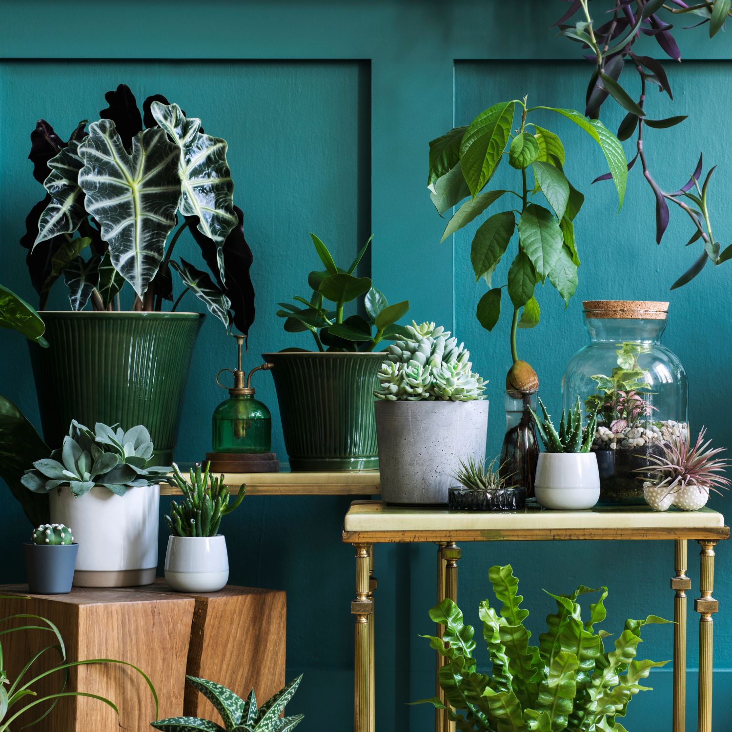 Easy Ways That You Can Rejuvenate Your Home