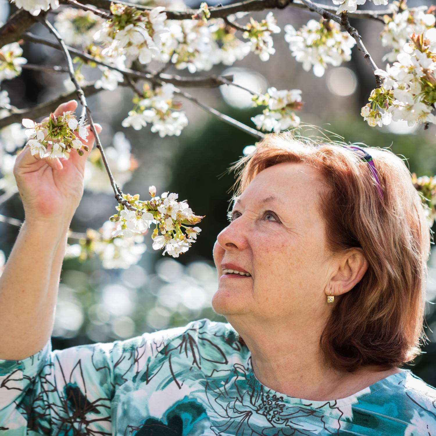 Trees That Will Bring Life to Your Backyard