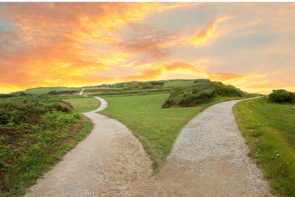 Mindset:The Foundation of Success - Healthy Living with Denise